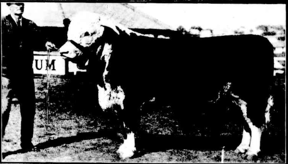 QRL Premiership 1920, Premiership Final – Redcap's BRL